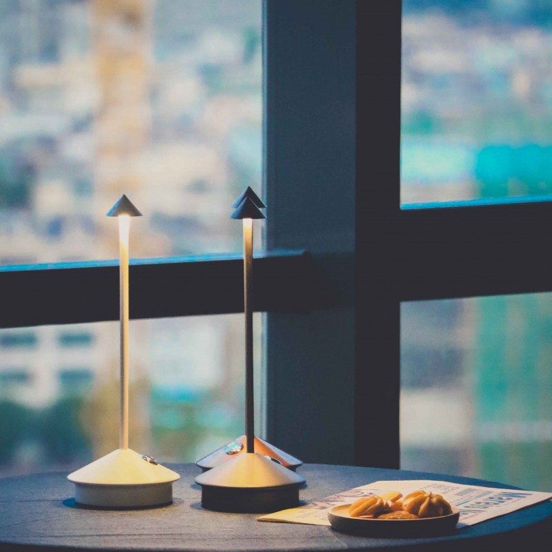 Cordless LED Battery Operated Lights Pro Lamps | Ping Lighting