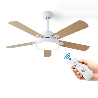 Ceiling Lights | Ceiling Fans with Lights | Ping Lighting